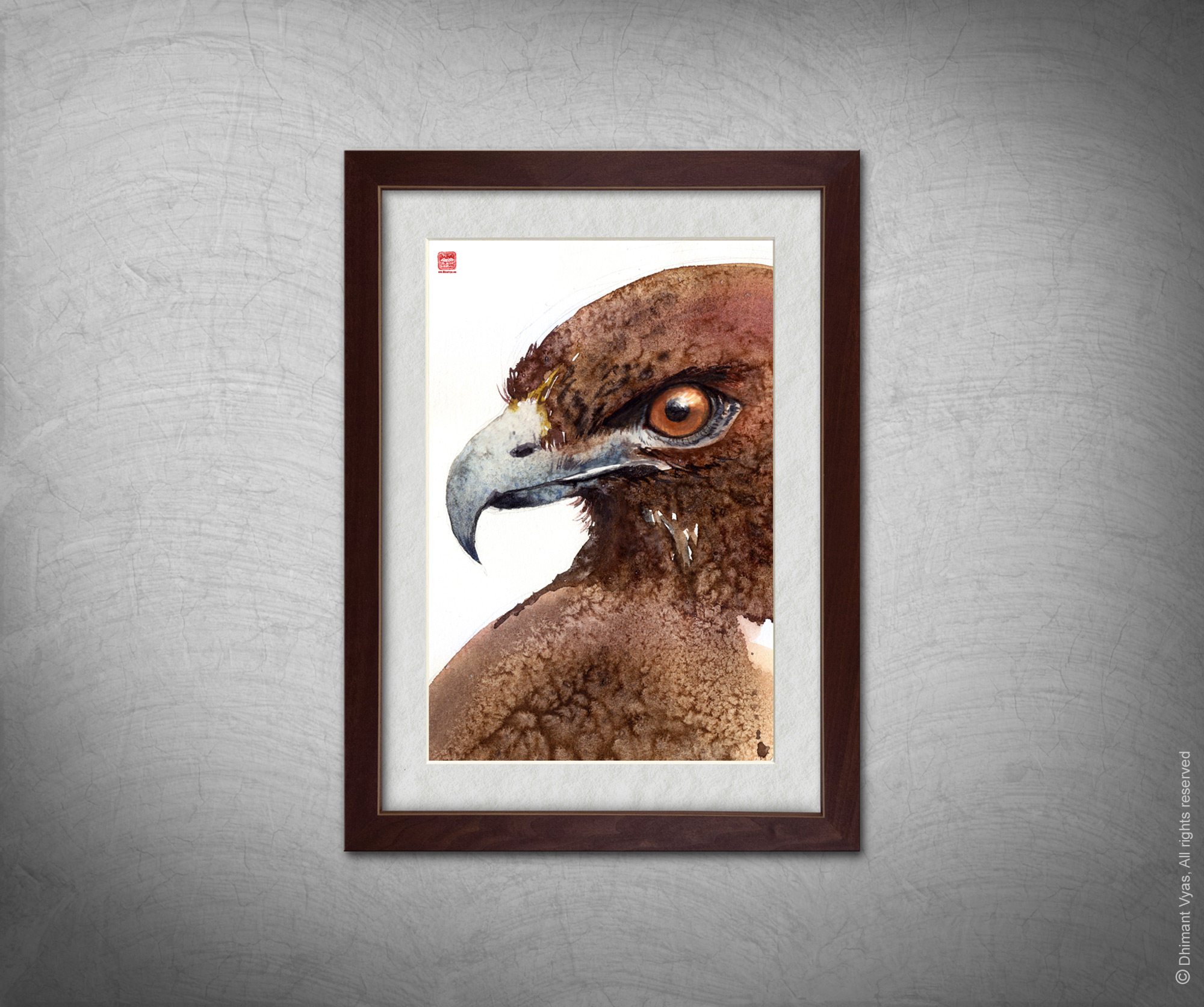 Eagle 01 – DHIMANT VYAS
